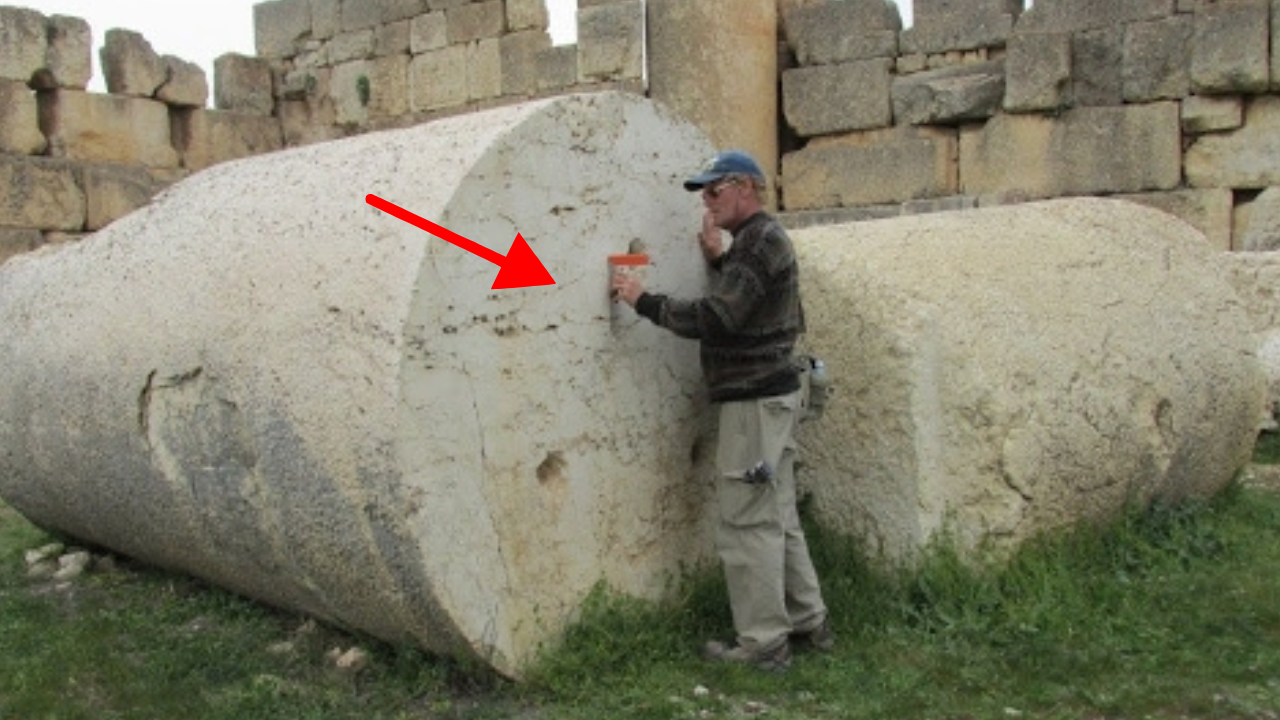 Brien Foerster - MSN