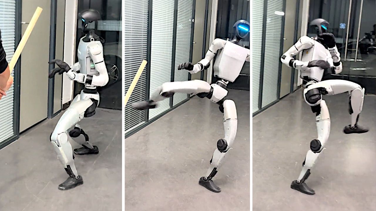 Humanoid robot demonstrates incredible martial arts skills