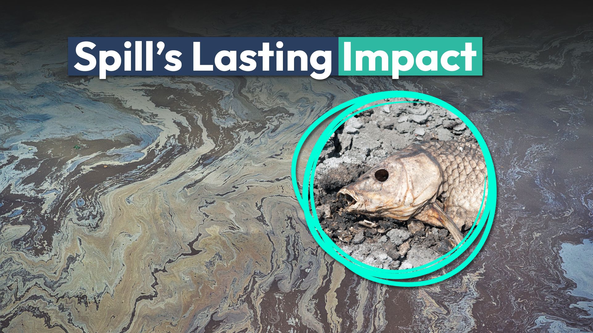 The U.S. Had The World's Largest Oil Spill In The Gulf Of Mexico, & The ...