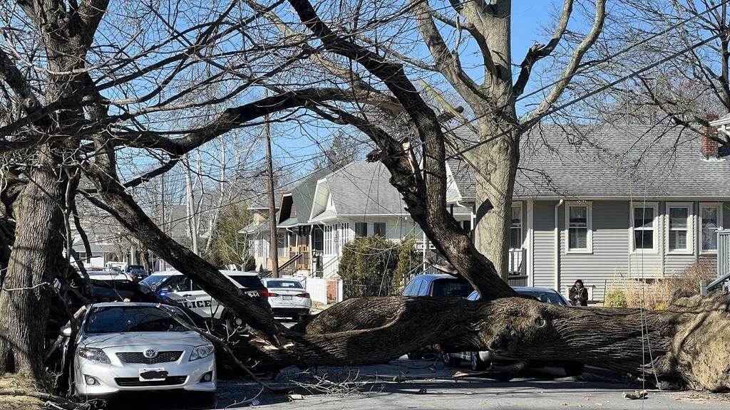 High winds topple trees, poles, and crush Massachusetts man's car