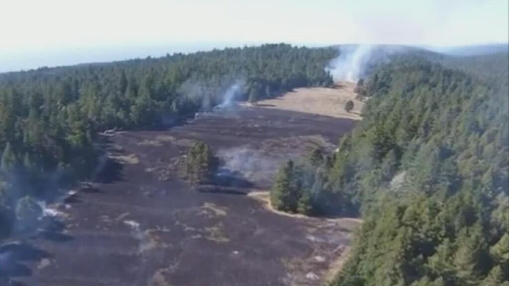 Major U.S. partnership aims to use fuel-break network to protect ...