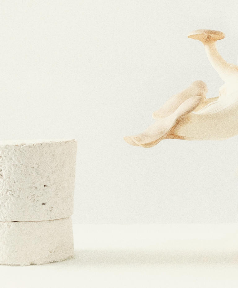 Amen Candles’ founder on building a plastic-free future with mycelium ...