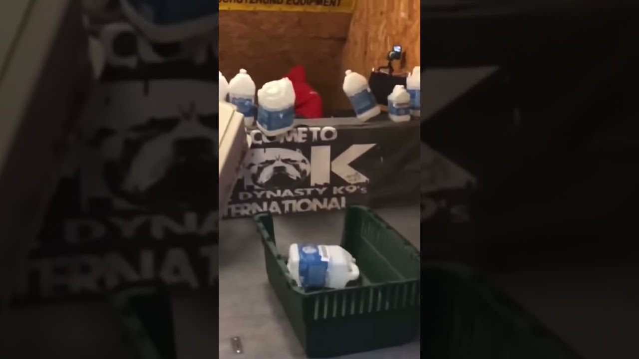 Man uses powerful pit bull to retrieve weapon from attacker