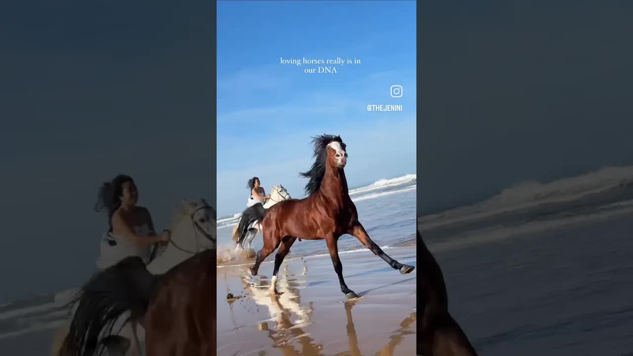 Horses Running on the Beach: A Connection to Our Past