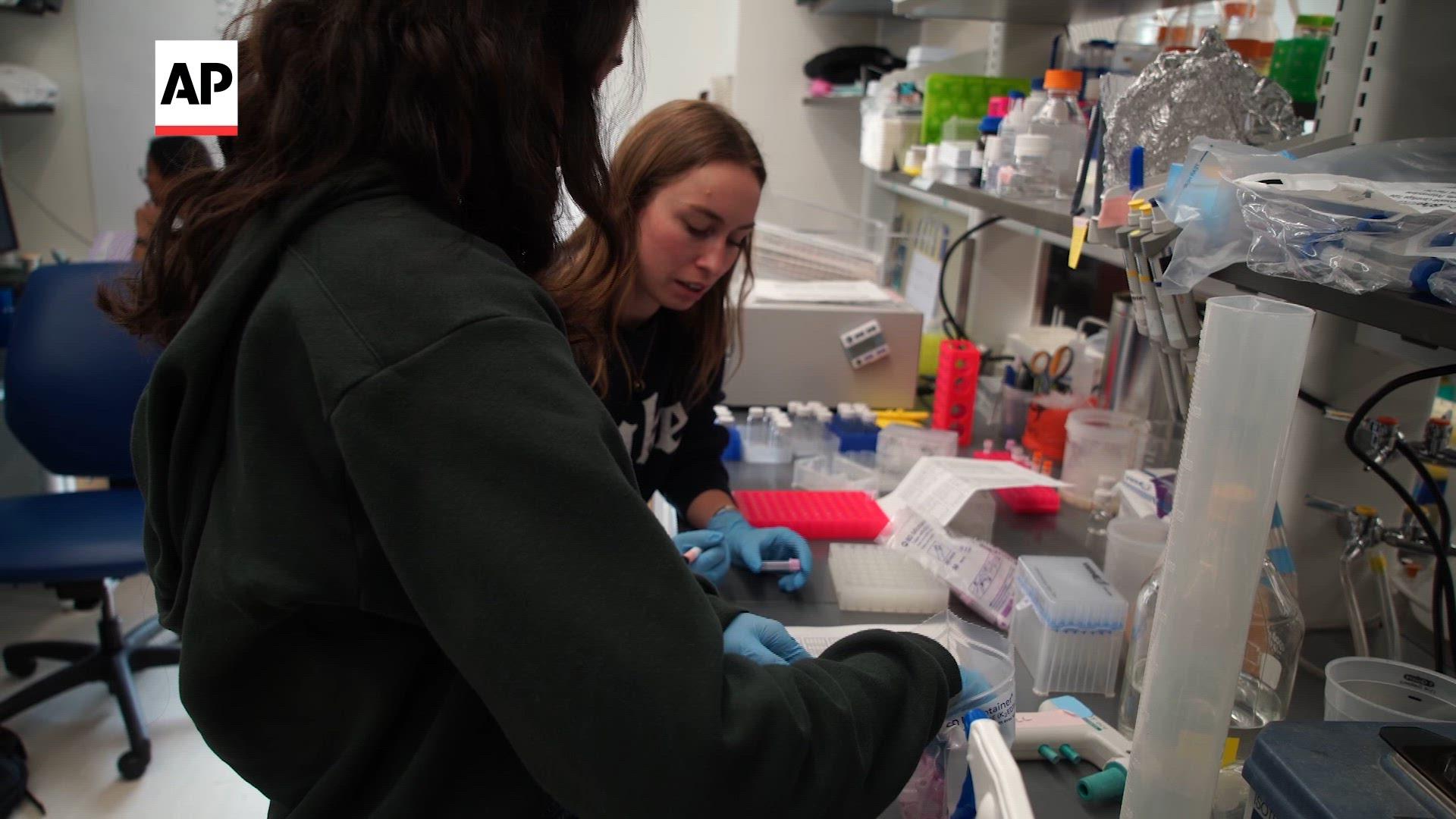 From killing lab mice to tearing down buildings, threatened federal ...