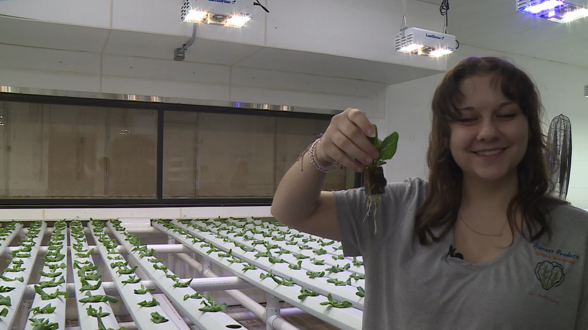 University of Wisconsin-Platteville’s student run Hydroponic Lab supplies produce for its campus ...