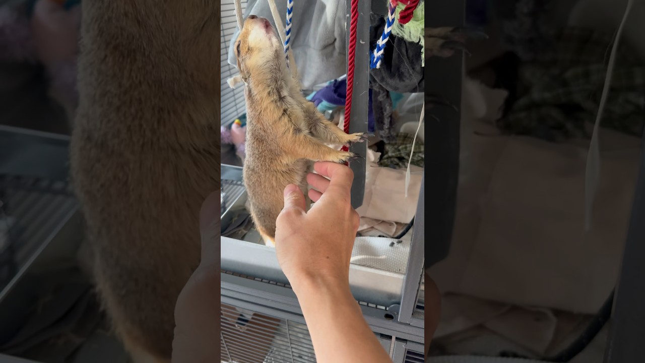 A big “good morning Wahoo” followed by the perfect stretch