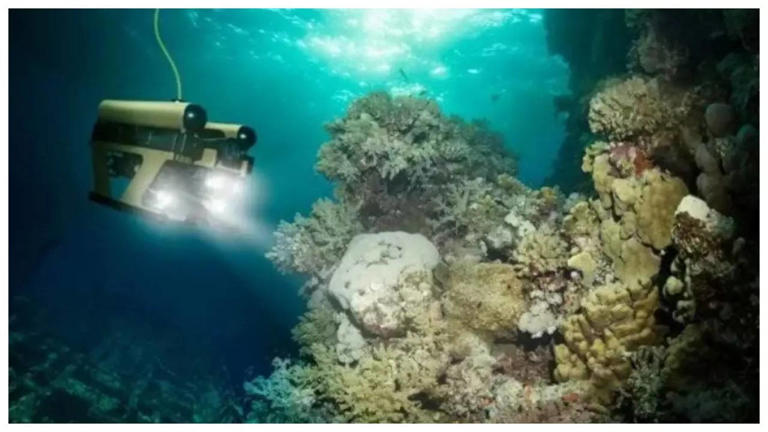 China claims its stake on the 6000-feet-deep last unowned territory on ...