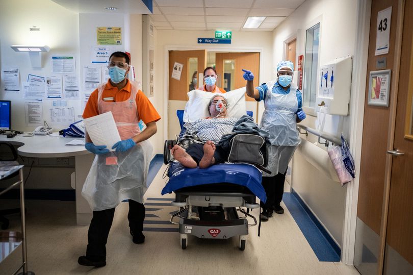 Doctor names three perfect conditions for next global pandemic but says ...