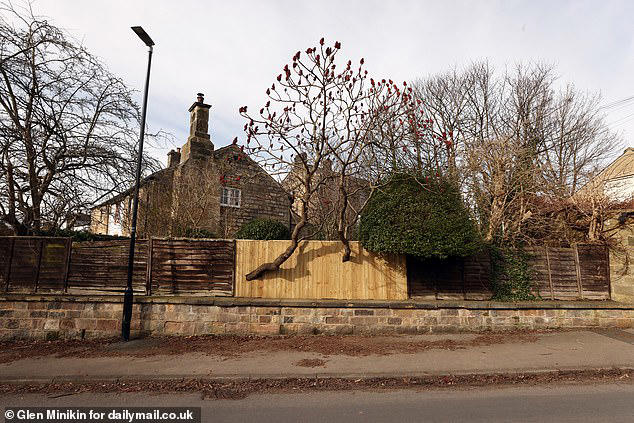 Couple's ingenious solution after wayward trees ruin fence
