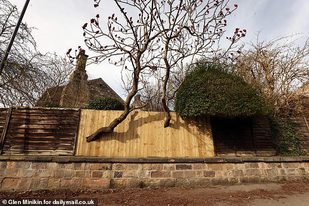 Couple's ingenious solution after wayward trees ruin fence