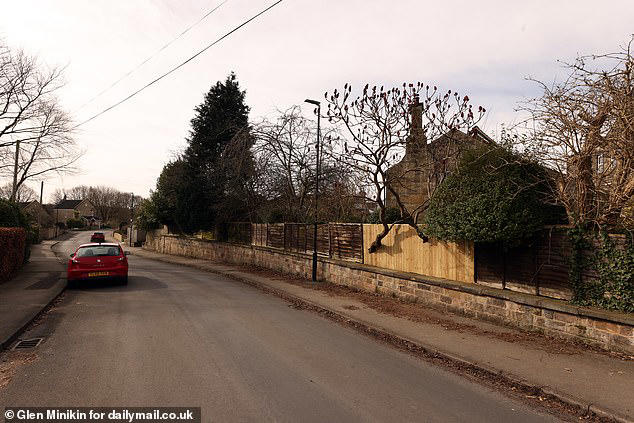 Couple's ingenious solution after wayward trees ruin fence