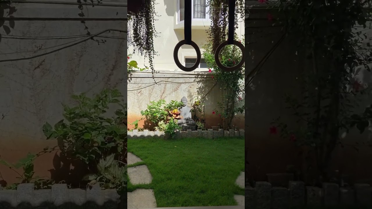 My most favourite part of the weekend at my greenish nest # ...