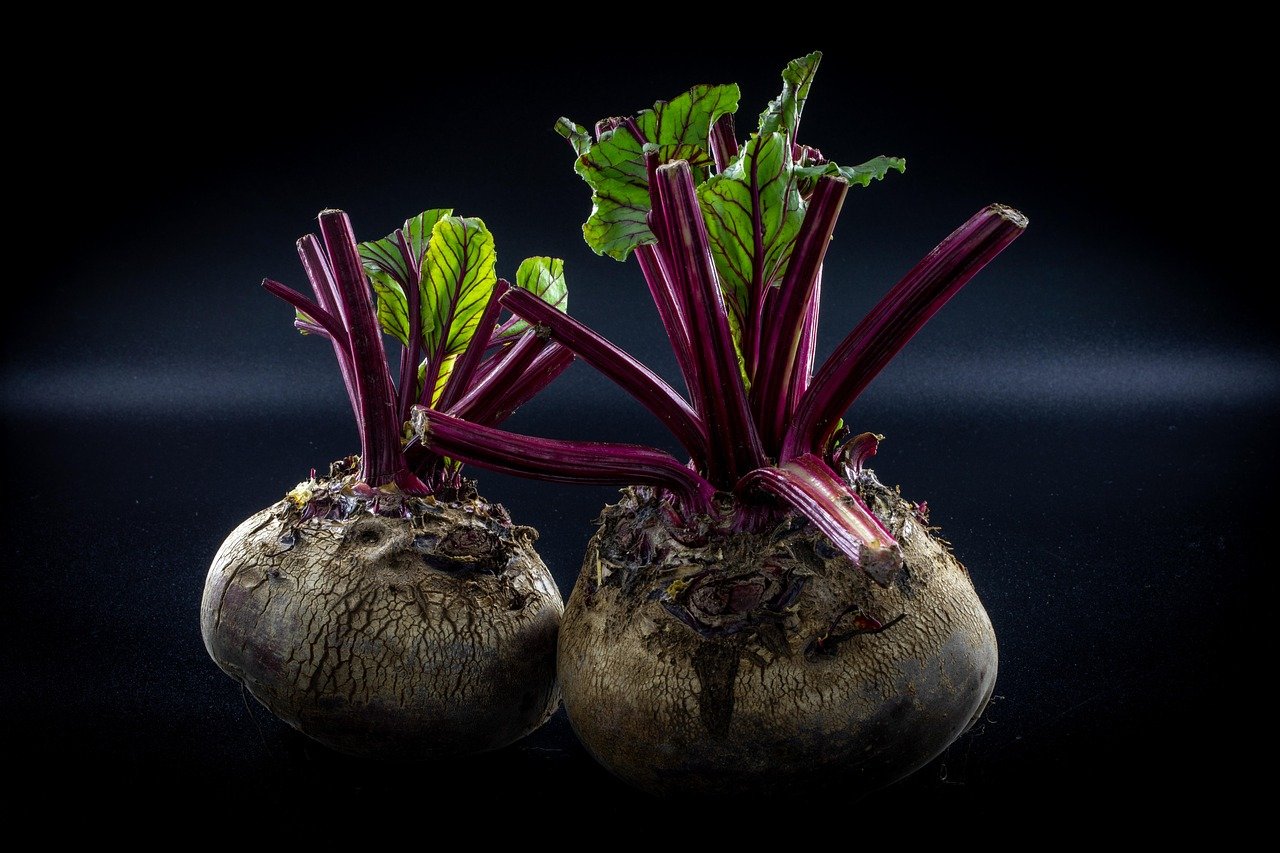 Conheça os benefícios da beterraba para a saúde e o bem-estar