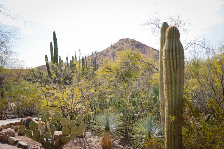 The Wonder Women’s Guide to Finding The Courage To Become an Empowering ...