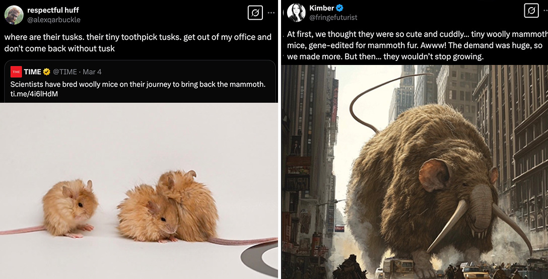 24 Tweets and Reactions to the New Wooly Mice