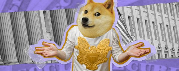 We Found Elon Musk’s DOGE Email Address and We’re Fighting to Reveal ...