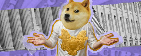 We Found Elon Musk’s DOGE Email Address and We’re Fighting to Reveal ...