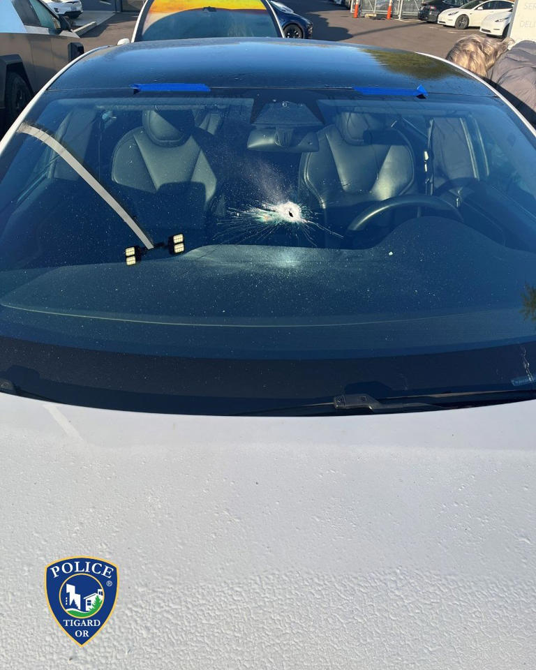 Anger at Elon Musk turns violent with molotov cocktails and gunfire at ...