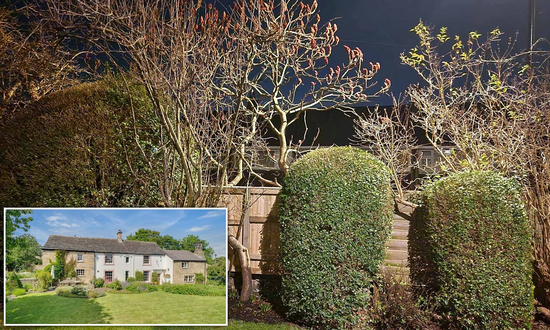 Couple's ingenious solution after wayward trees ruin fence