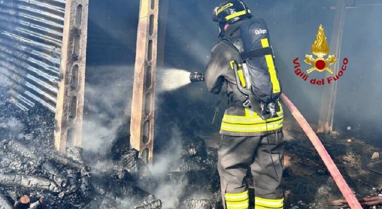 Uccide il cane che lo ha morso e gli dà fuoco nel camino, ma in casa ...