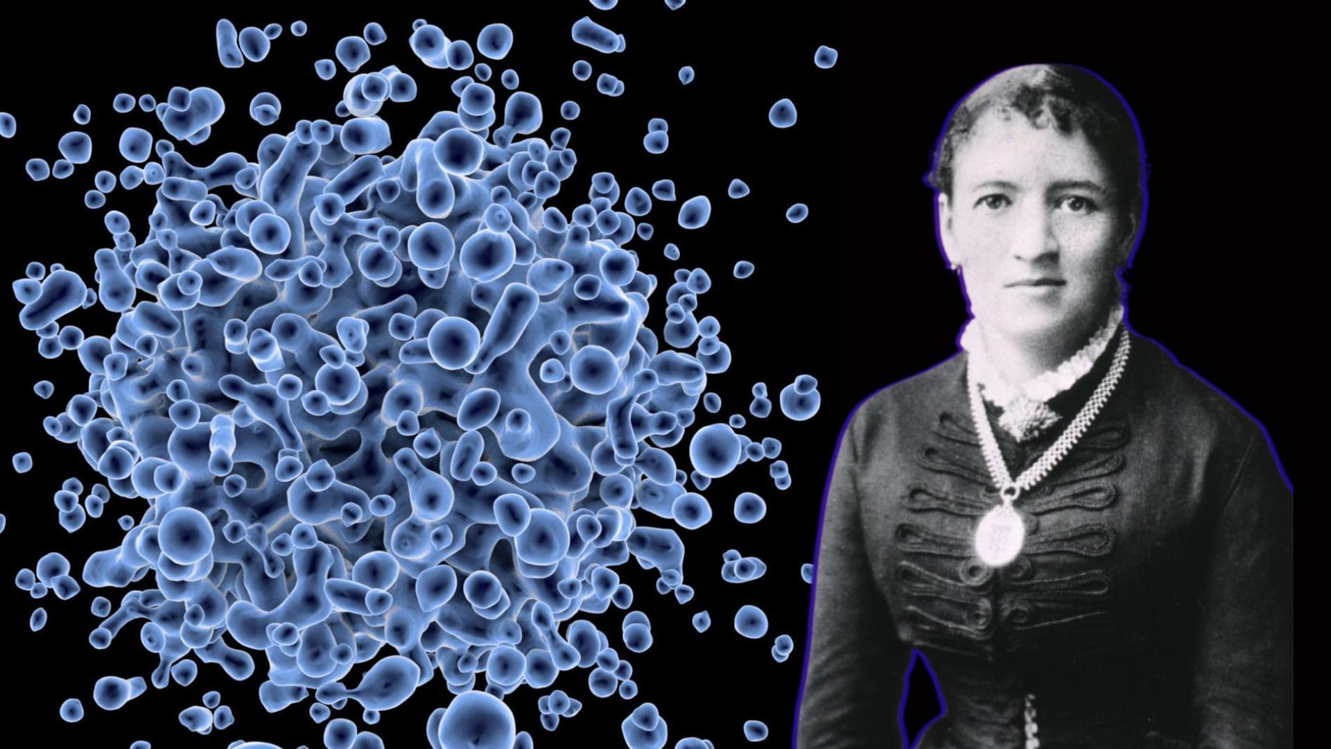 La historia de Fanny Angelina Hesse, la mujer que hizo de un ...