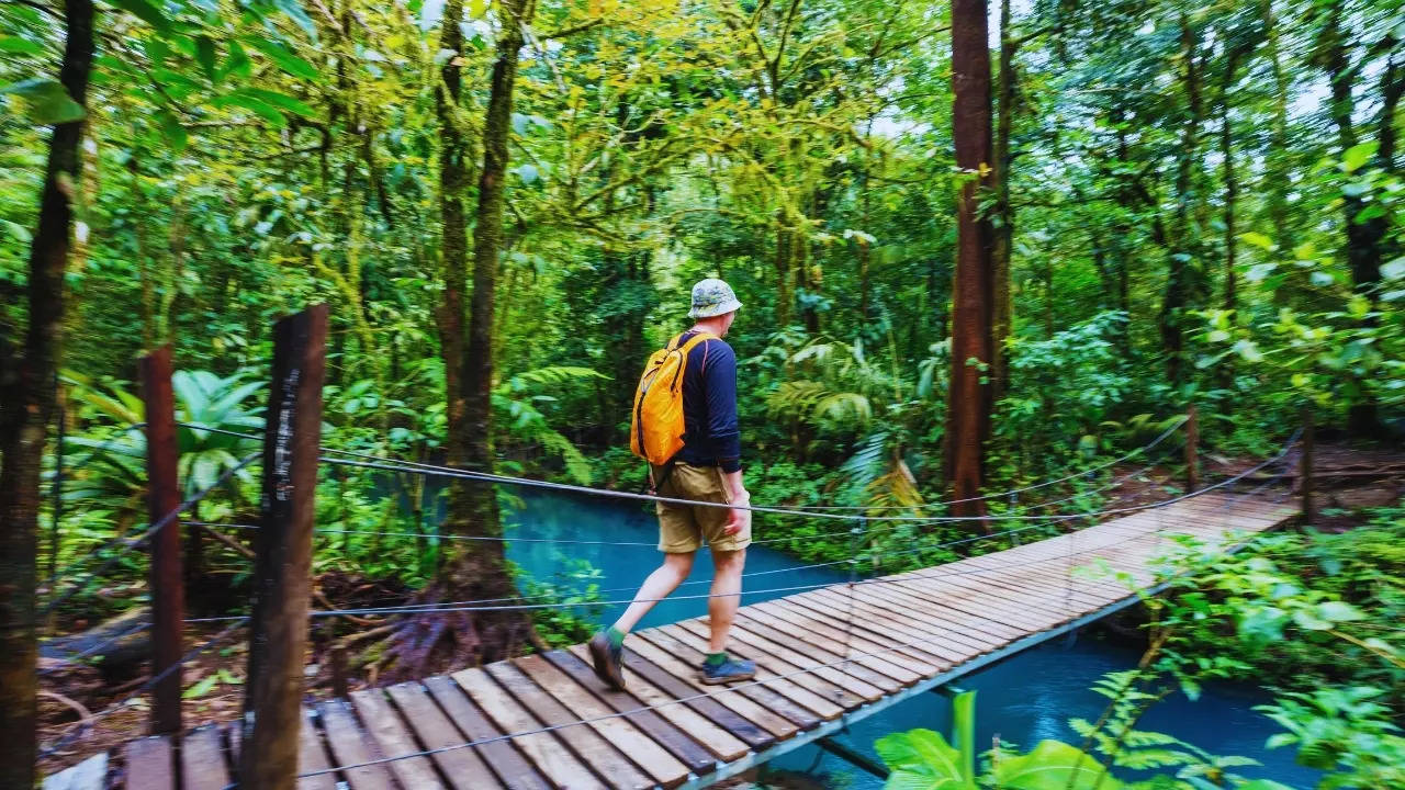 8 leading ecotourism destinations in the world to visit this year