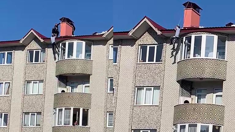 Statečný Rodney Fox: Útok žraloka bílého přežil jen zázrakem, přesto ...