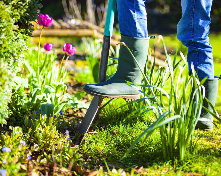 These 7 gardening jobs count as your 10,000 steps – and they transform ...