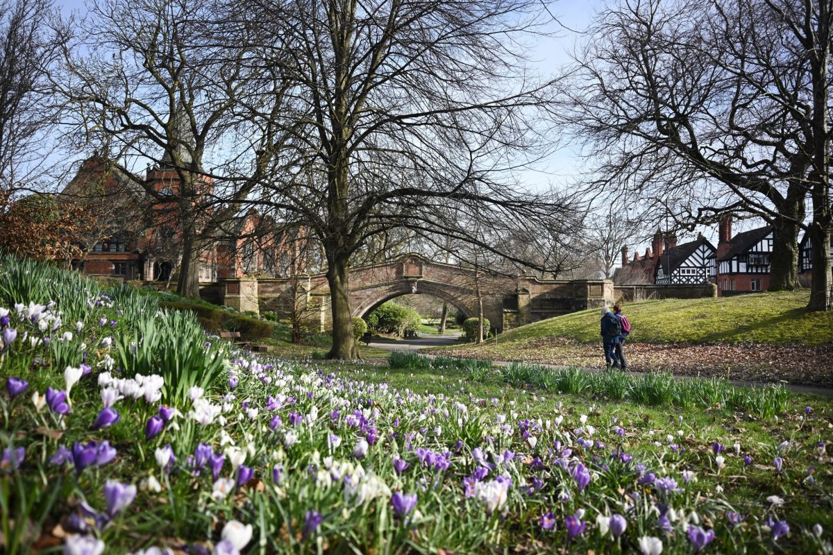 High of 19°C expected before cold snap brings sub-zero temperatures