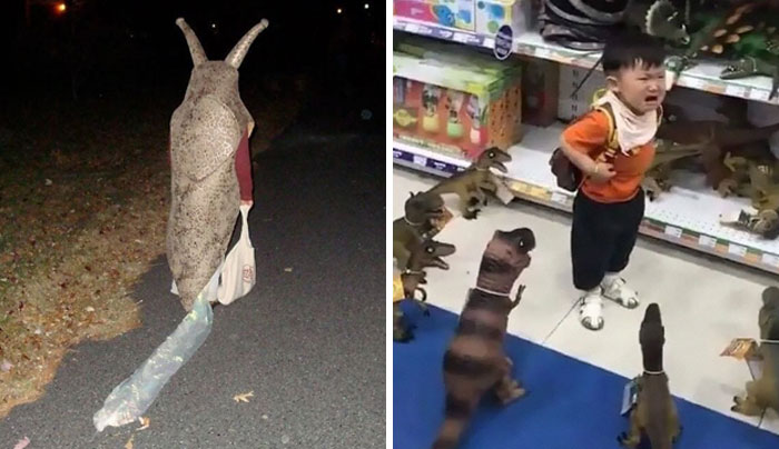 45 Hilariously Absurd Random Pics That Hit Like A Drunk Text At 3 AM