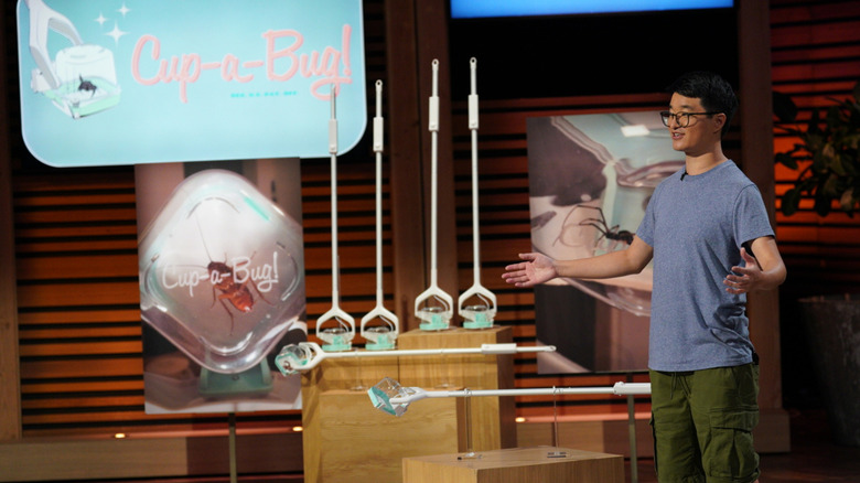 Where Did Cup-A-Bug Insect Catcher End Up After Shark Tank?