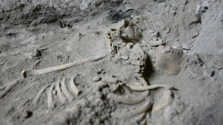 Oldest human skeleton in Thailand dating back to 29,000 years could ...