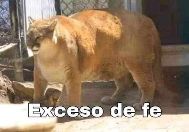 Pumas pasó por encima a Puebla y se llevó LOS MEJORES MEMES; así ...