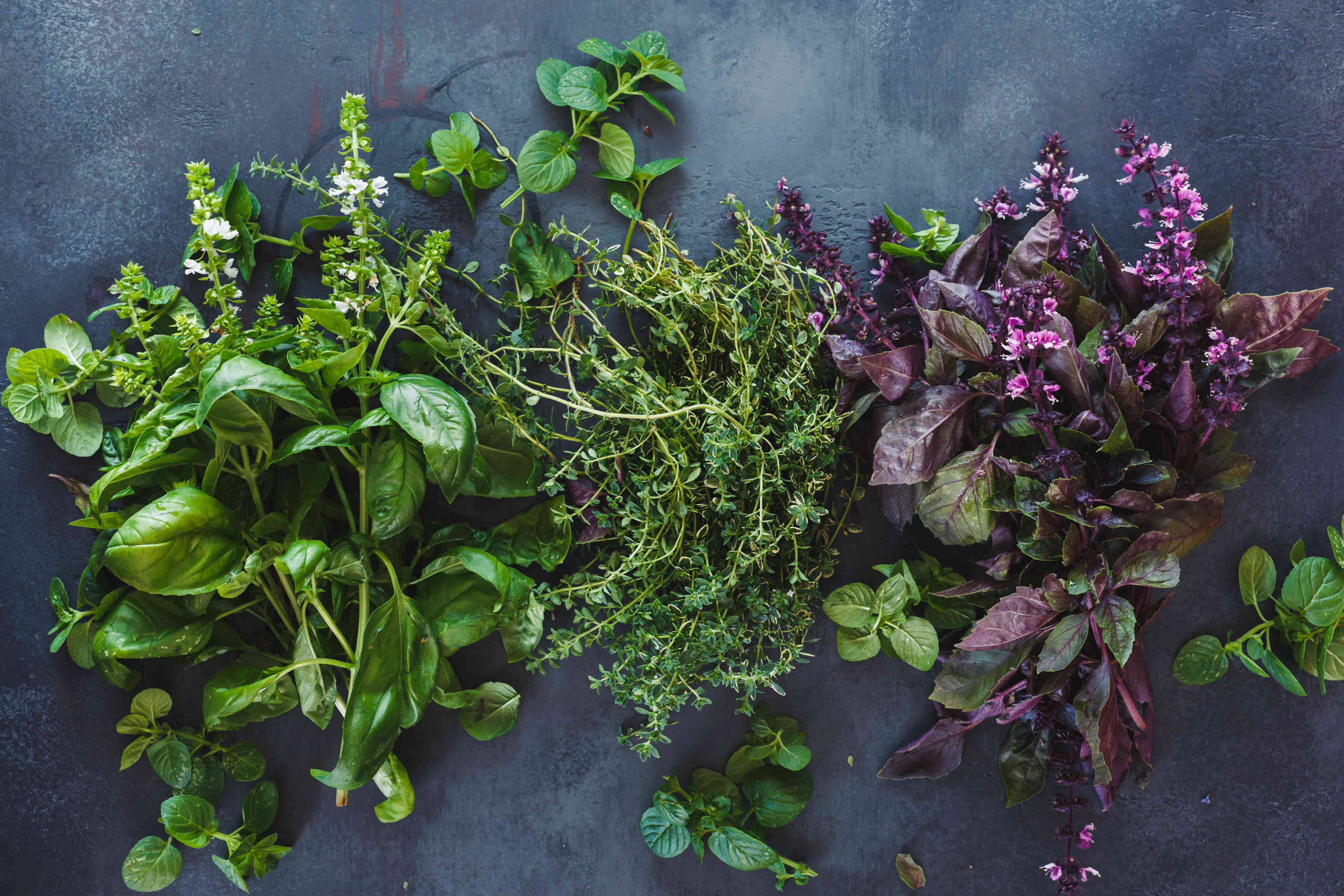 7 of the Best Herbs to Eat, According to Nutritionists