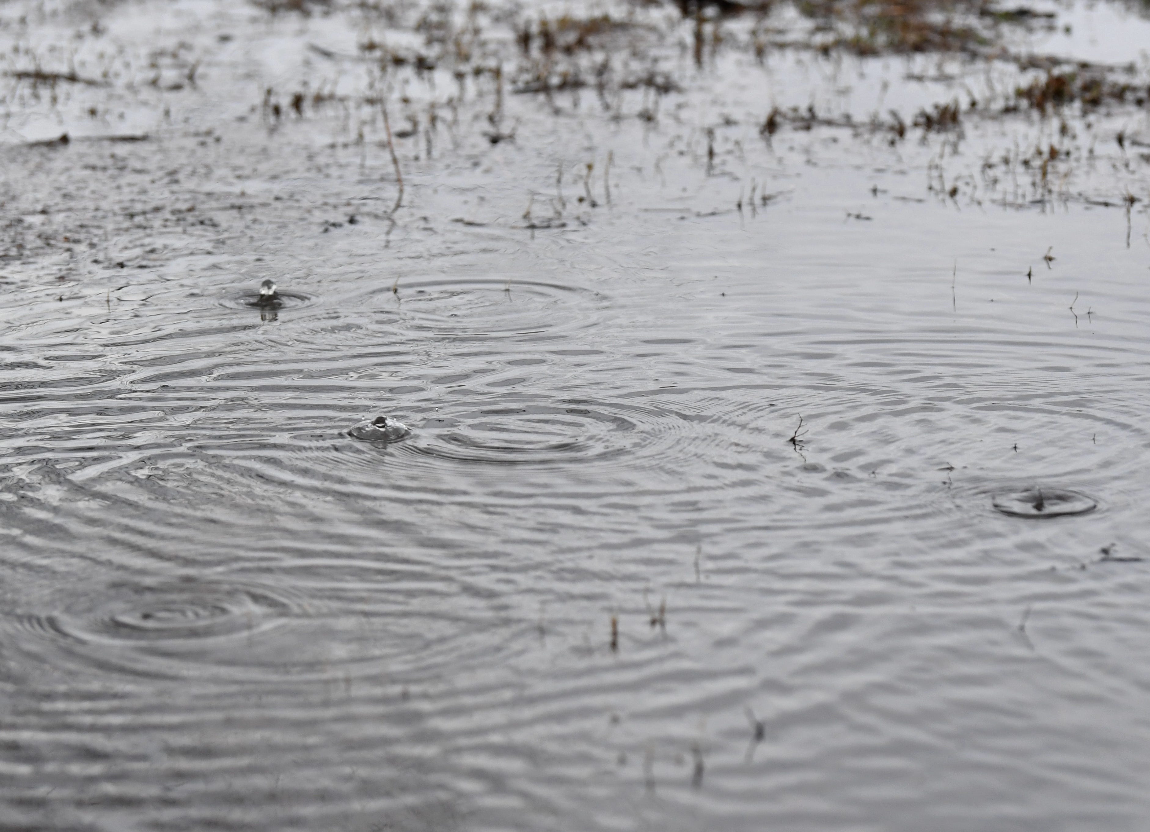 5 tips to prep for storm Lafayette homeowners need before hurricane ...