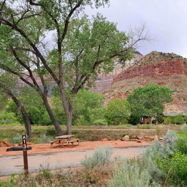 Stay at the Watchman Campground in Zion National Park