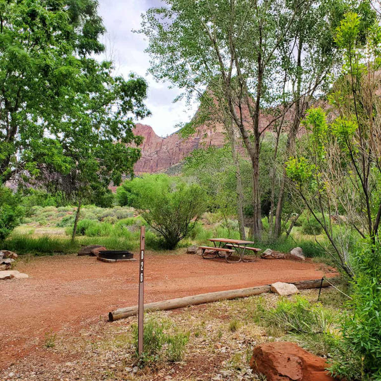 Stay at the Watchman Campground in Zion National Park