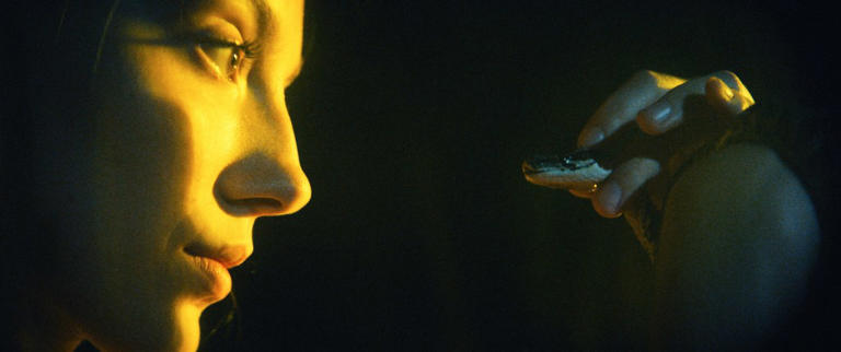 Artists Equity Unveils Slithery Docu ‘The Python Hunt' At SXSW