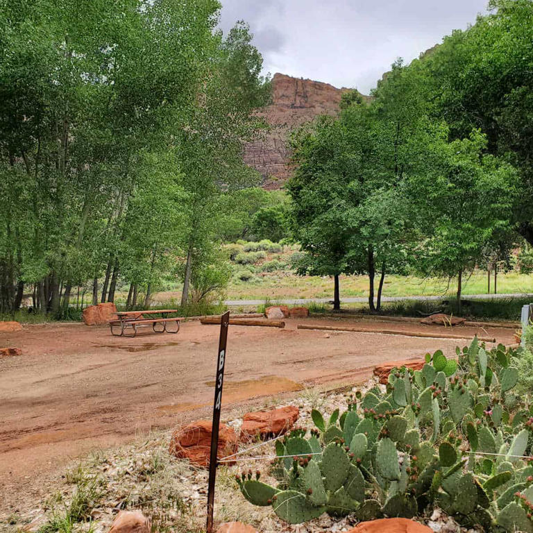 Stay at the Watchman Campground in Zion National Park