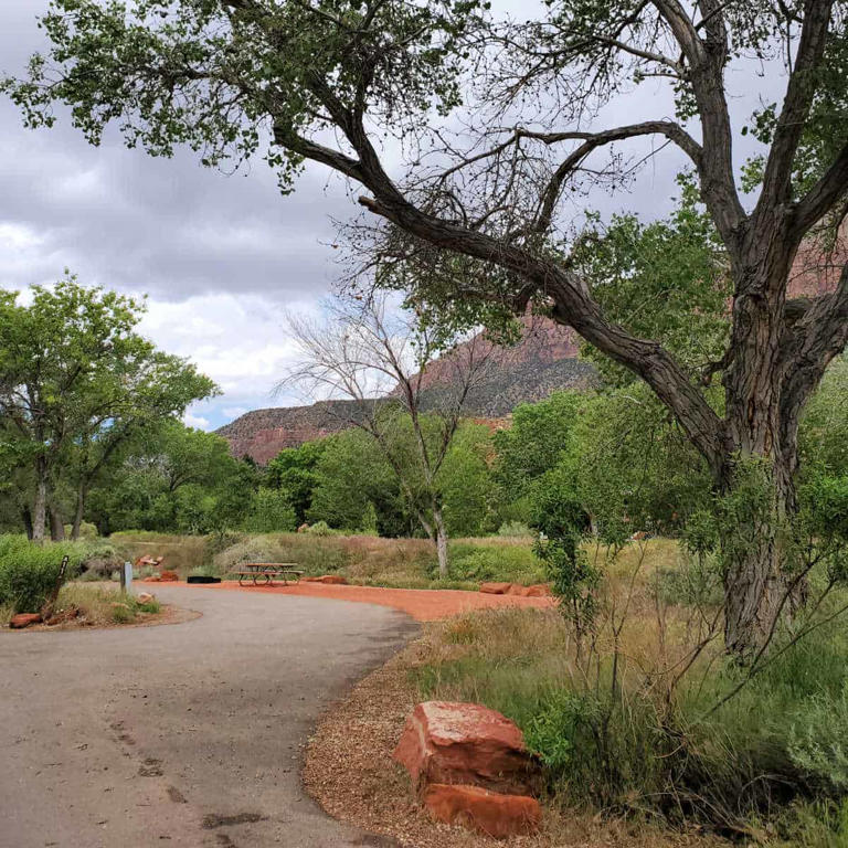 Stay at the Watchman Campground in Zion National Park