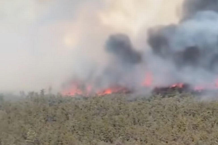 Hamptons fire: Mass evacuations as black smoke fills sky in apocalyptic ...