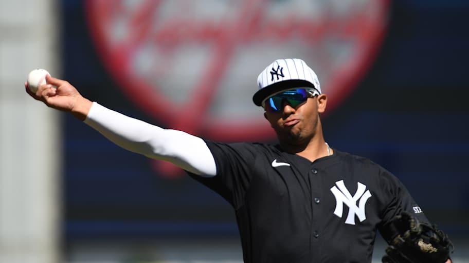 These out-of-options Yankees players can't be sent down to minor ...