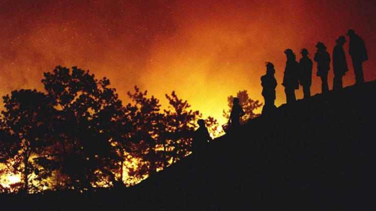 Brush fires rips through parts of Long Island; 1 firefighter injured