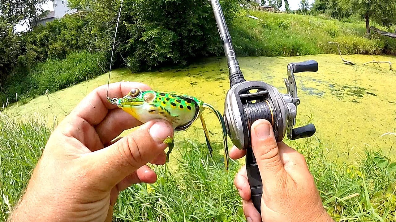 "Small Pond, Massive Surprise: An Unbelievable Catch"