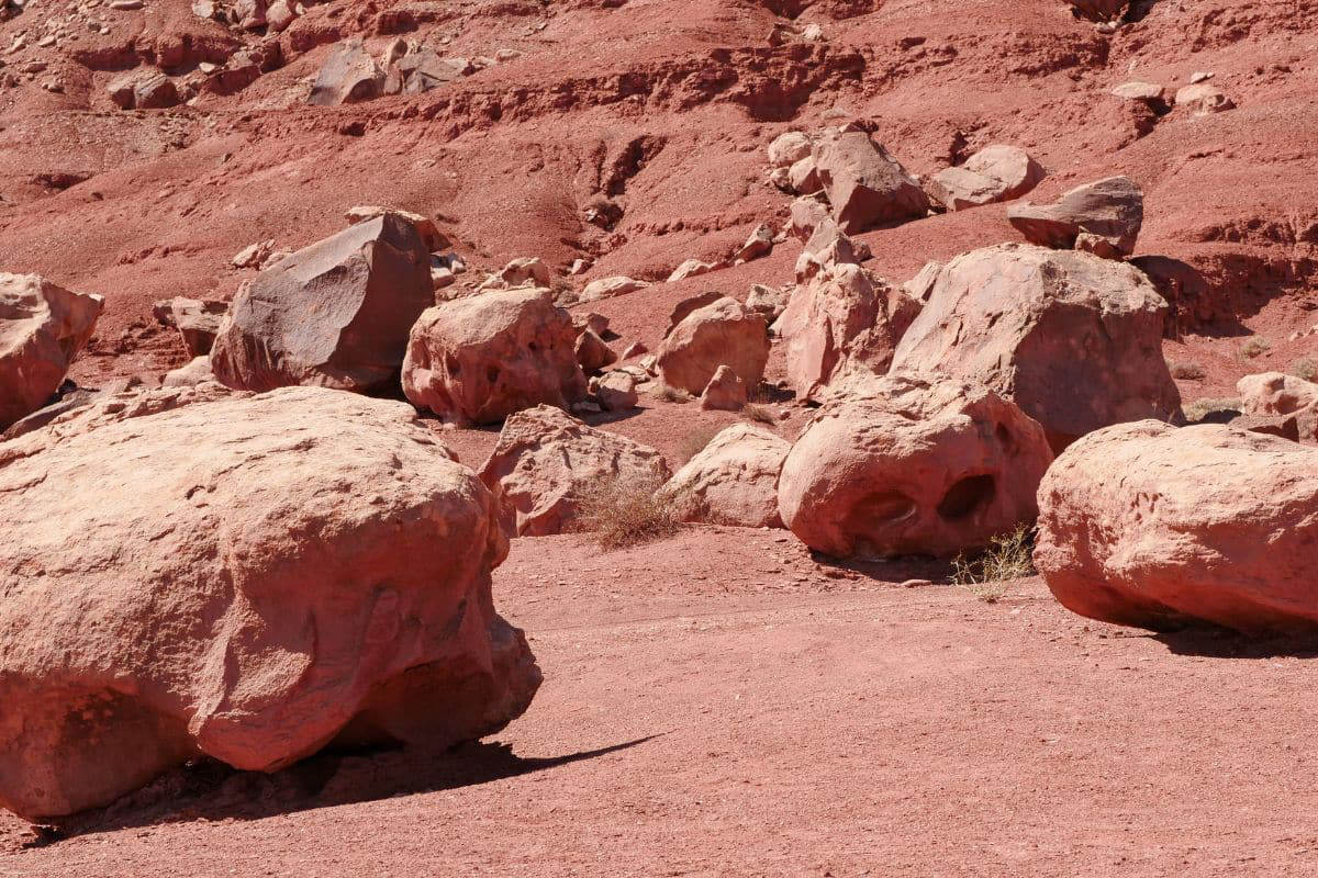 “They’re Enigmas”, NASA’s Rover Discovers Bizarre Martian Rocks That ... “They’re Enigmas”, NASA’s Rover Discovers Bizarre Martian Rocks That ...