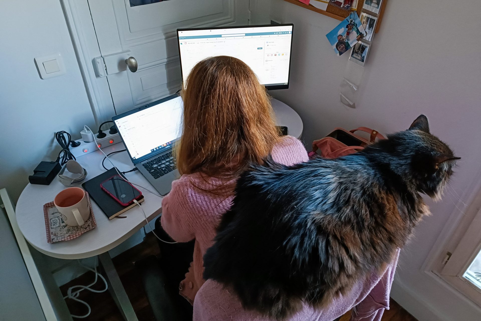 Torontonians like to telework while New Yorkers prefer the office