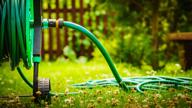 Don't Toss An Old Garden Hose - Here's A Quick Hack To Reuse It In The ...