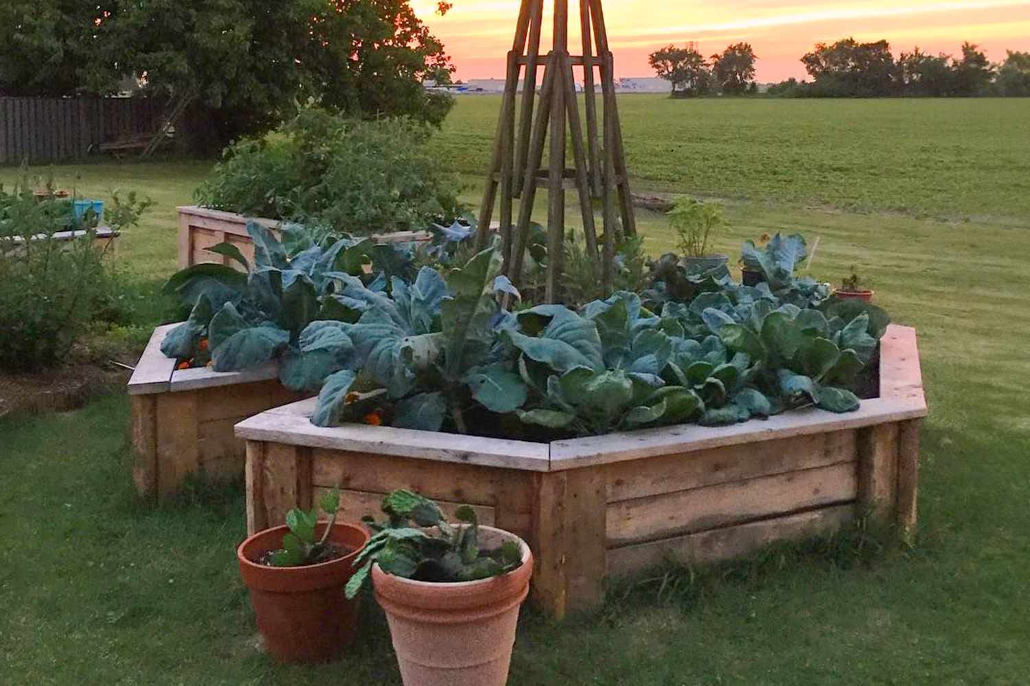 What the Heck Is a Keyhole Garden? And Why Garden Pros Love Them