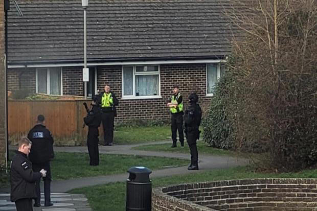 Armed police swoop Dorset village